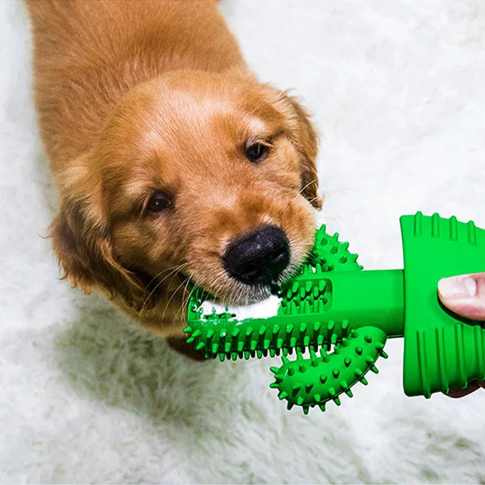 Dog Products – Petsworthy