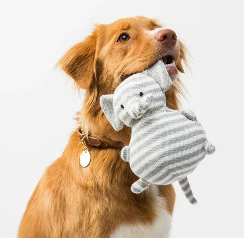 Dog Toys Australia – Chew, Puzzle, Interactive & Indestructible Toys ...