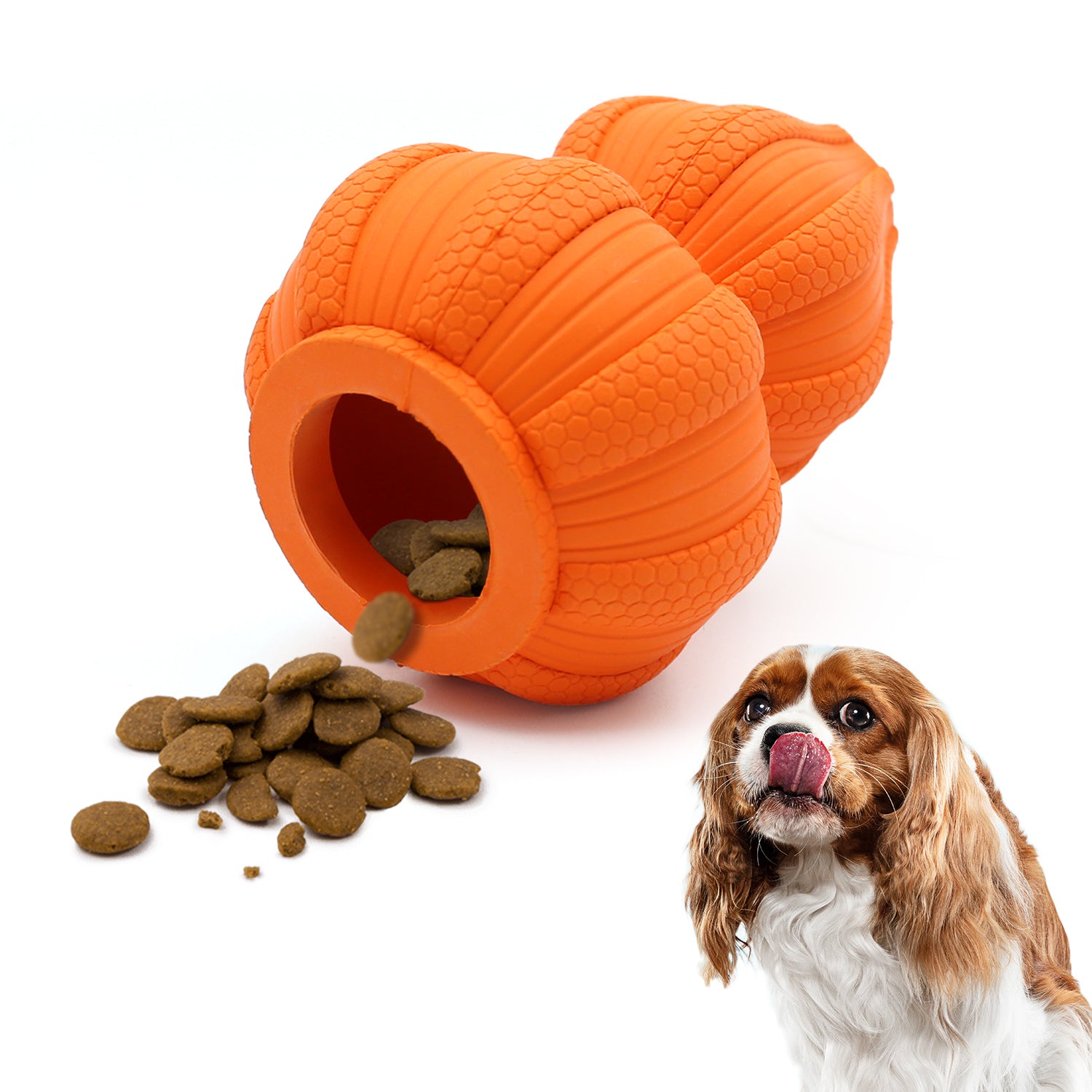 LaRoo Treat Dispensing Gourd Toy – Petsworthy